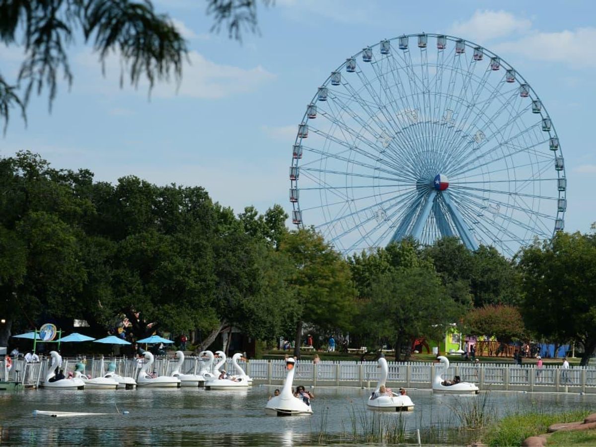 Escape the crowds and get some quality time alone on the Swan Boats ...